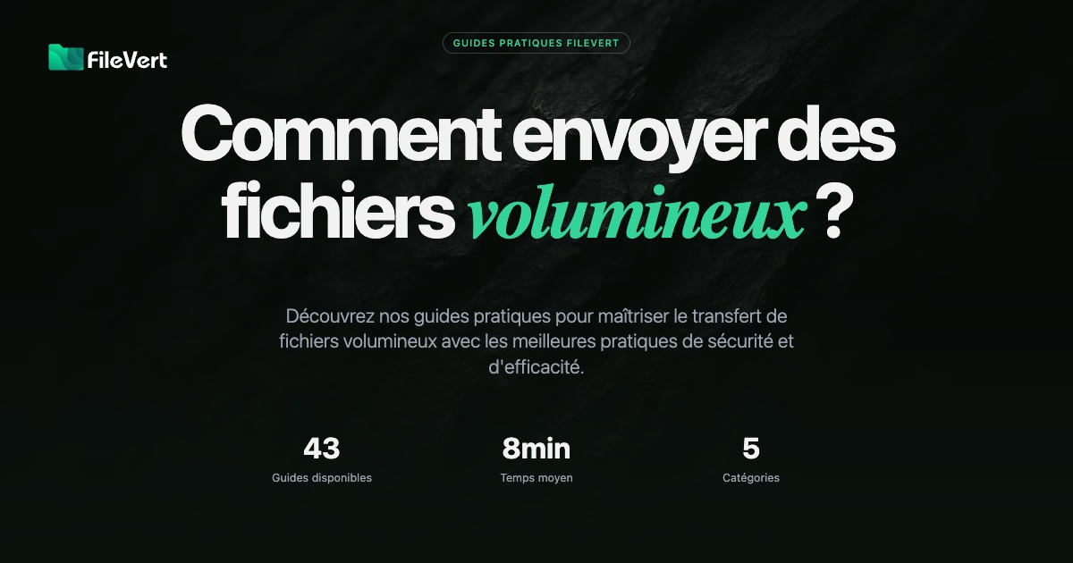 Comment envoyer des photos volumineuses (RAW, HEIC) ? | FileVert